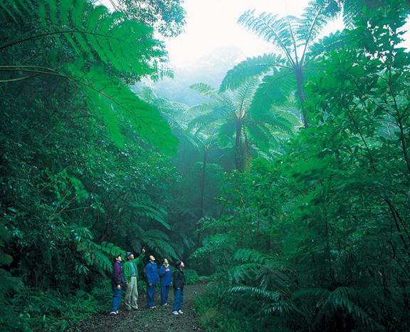 Amami Oshima Island | Travel Tips | DISCOVER KAGOSHIMA｜Official Travel ...