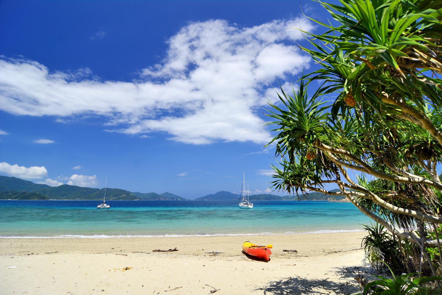 Adventure Tour in Amami Oshima | Travel Tips | DISCOVER KAGOSHIMA ...