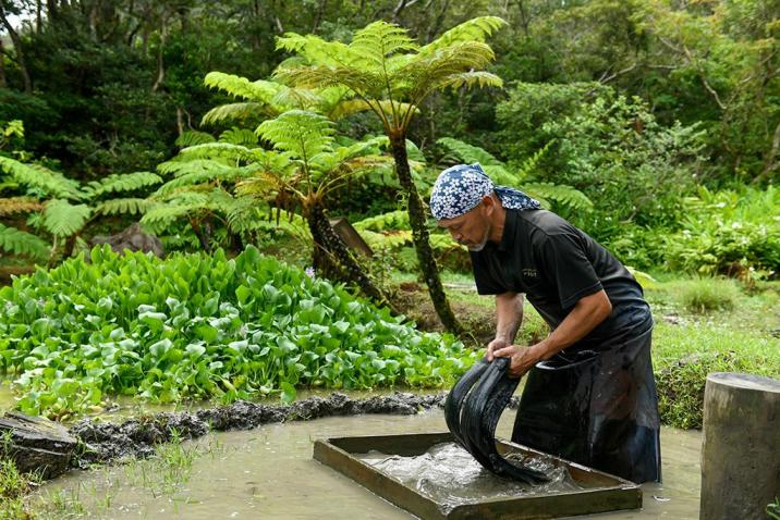 Amami Oshima Island | Travel Tips | DISCOVER KAGOSHIMA｜Official Travel ...