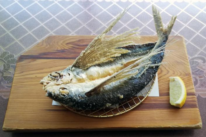 Yakushima Island | Travel Tips | DISCOVER KAGOSHIMA｜Official Travel Guide