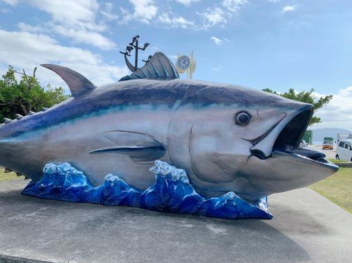 Naze Port | Cruise | DISCOVER KAGOSHIMA｜Official Travel Guide