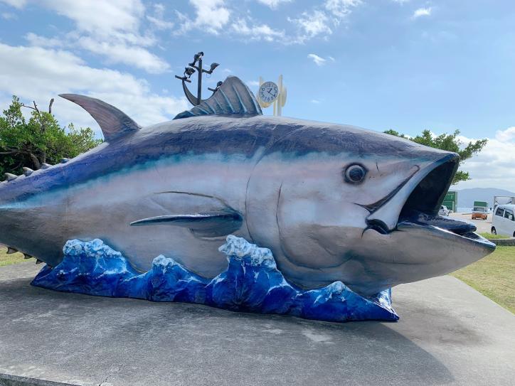 Naze Port | Cruise | DISCOVER KAGOSHIMA｜Official Travel Guide