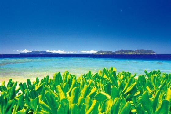 Naze Port | Cruise | DISCOVER KAGOSHIMA｜Official Travel Guide