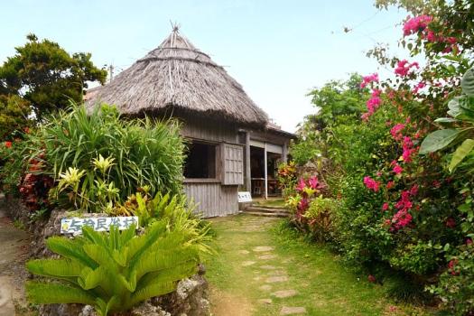 Yoron Island course that heals you on the white sandy beach | Travel ...
