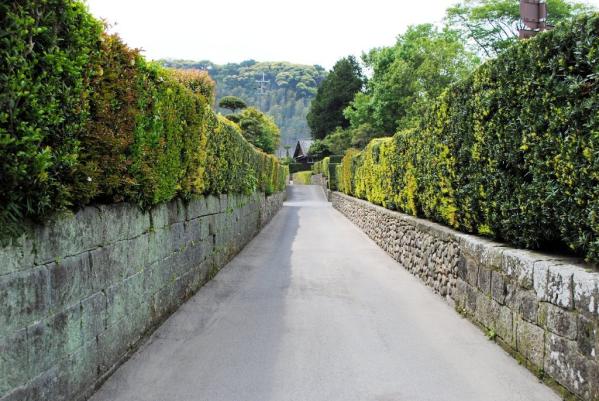 Chiran | Destinations | DISCOVER KAGOSHIMA｜Official Travel Guide