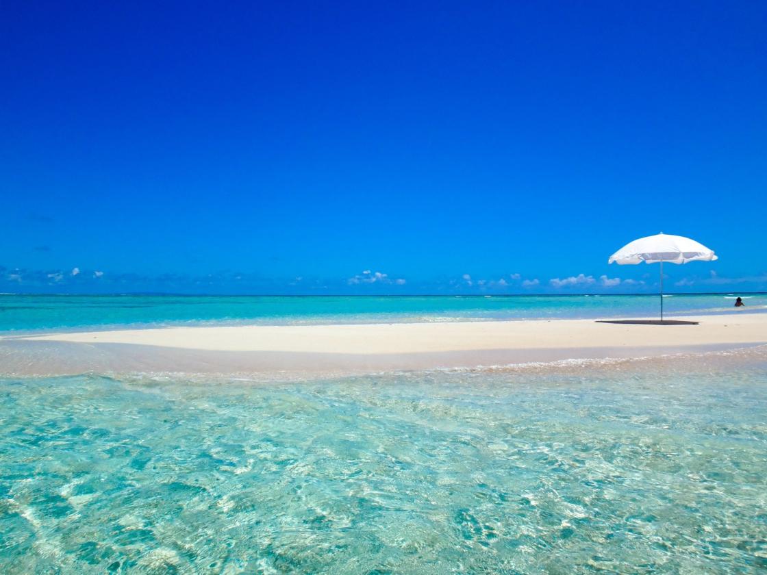 YORON’S WORLD | Travel Tips | DISCOVER KAGOSHIMA｜Official Travel Guide