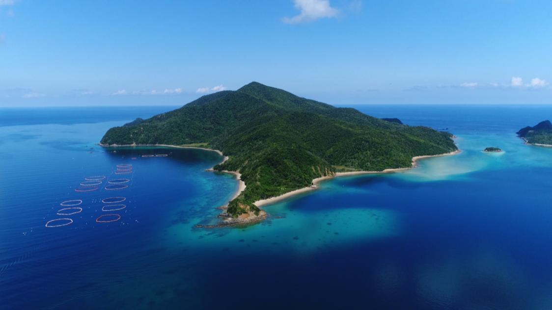 Amami Oshima Island | Travel Tips | DISCOVER KAGOSHIMA｜Official Travel ...