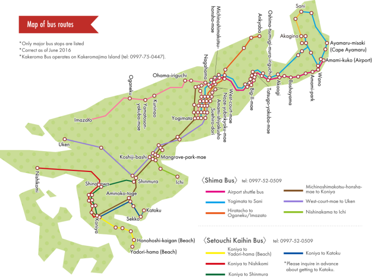 Access to Amami Oshima Island | Travel Tips | DISCOVER KAGOSHIMA ...