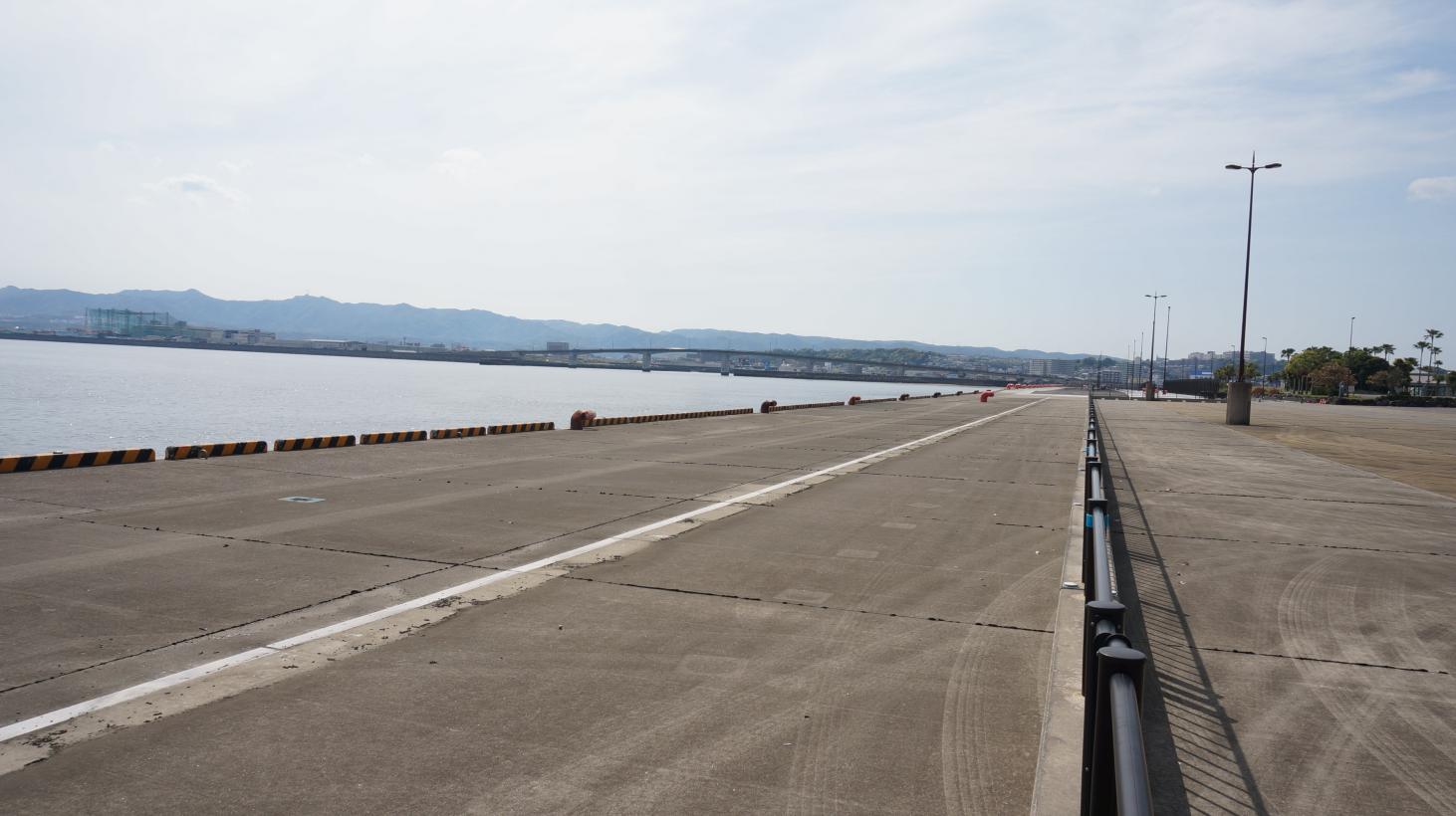 Marine Port鹿兒島 | Cruise | 【官方】鹿兒島縣旅遊指南｜DISCOVER KAGOSHIMA