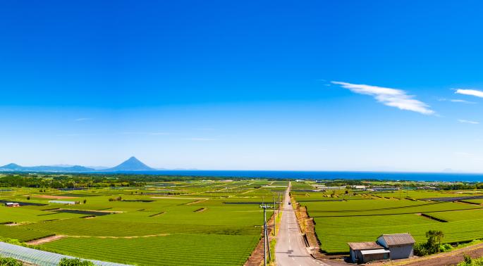 Chiran | Destinations | DISCOVER KAGOSHIMA｜Official Travel Guide