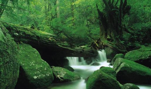 Ibusuki | Destinations | DISCOVER KAGOSHIMA｜Official Travel Guide