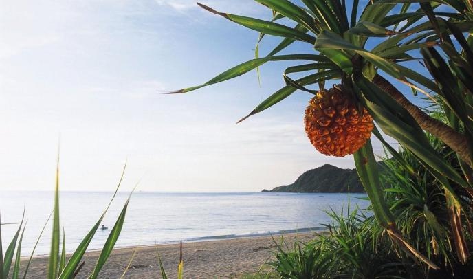Chiran | Destinations | DISCOVER KAGOSHIMA｜Official Travel Guide