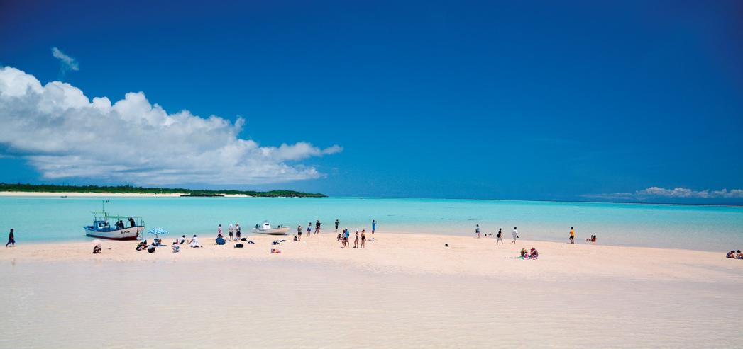 Amami Oshima Island | Travel Tips | DISCOVER KAGOSHIMA｜Official Travel ...