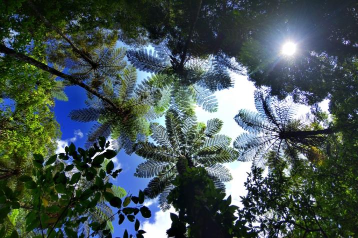 Naze Port | Cruise | DISCOVER KAGOSHIMA｜Official Travel Guide