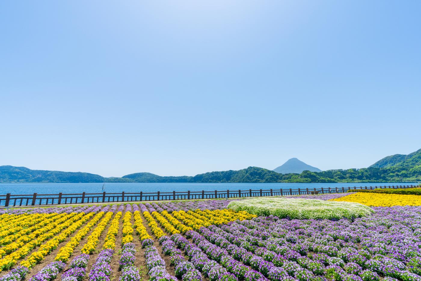 Natural Sand Bath Center 'Saraku' | Tourism spot | DISCOVER KAGOSHIMA ...